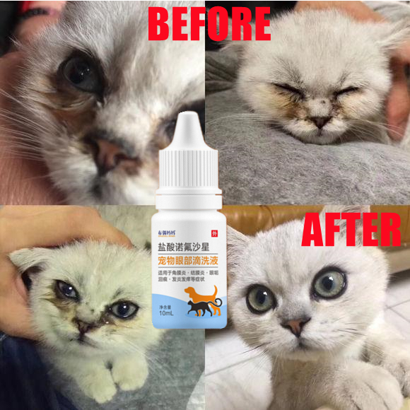 MATA Cat Eye Drops for Dogs Eye Drops Medication for Cat Eye Pain Cat ...