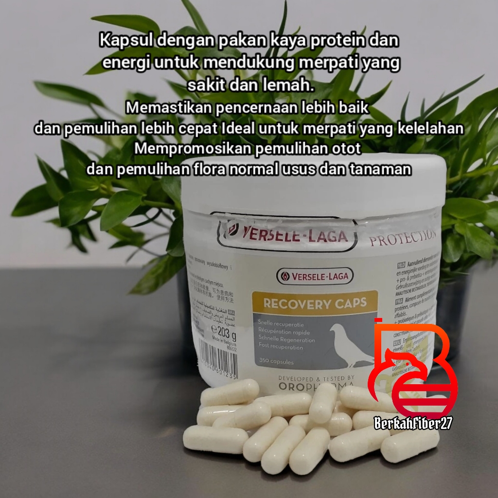 Recovery Caps 10 Capsules Pigeon Pain/Airline Recovery | Shopee Malaysia