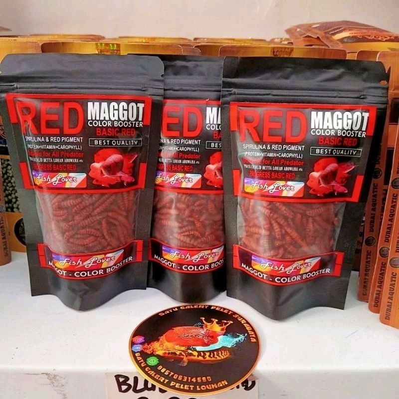 Super Red-Yellow Premium Maggot Fish Feed | Shopee Malaysia