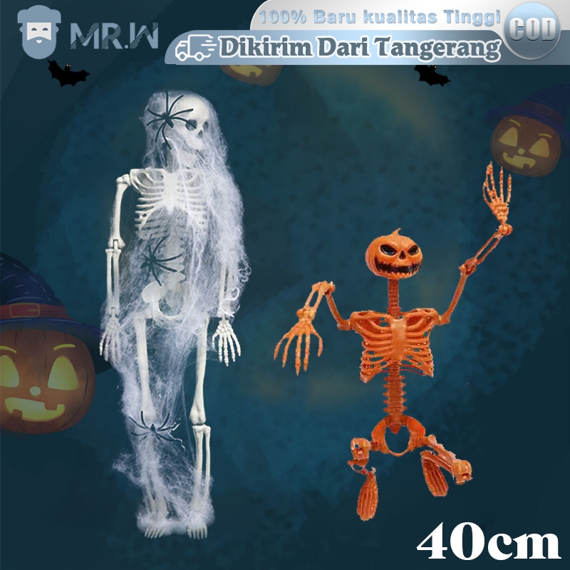 Human Skeleton Model 40cm Height Human Skeleton Skull Toy For Halloween ...