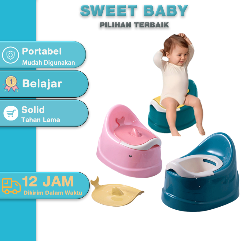 Sweetbaby Baby Potty Toilet Training Children's Squatting WC Potty ...
