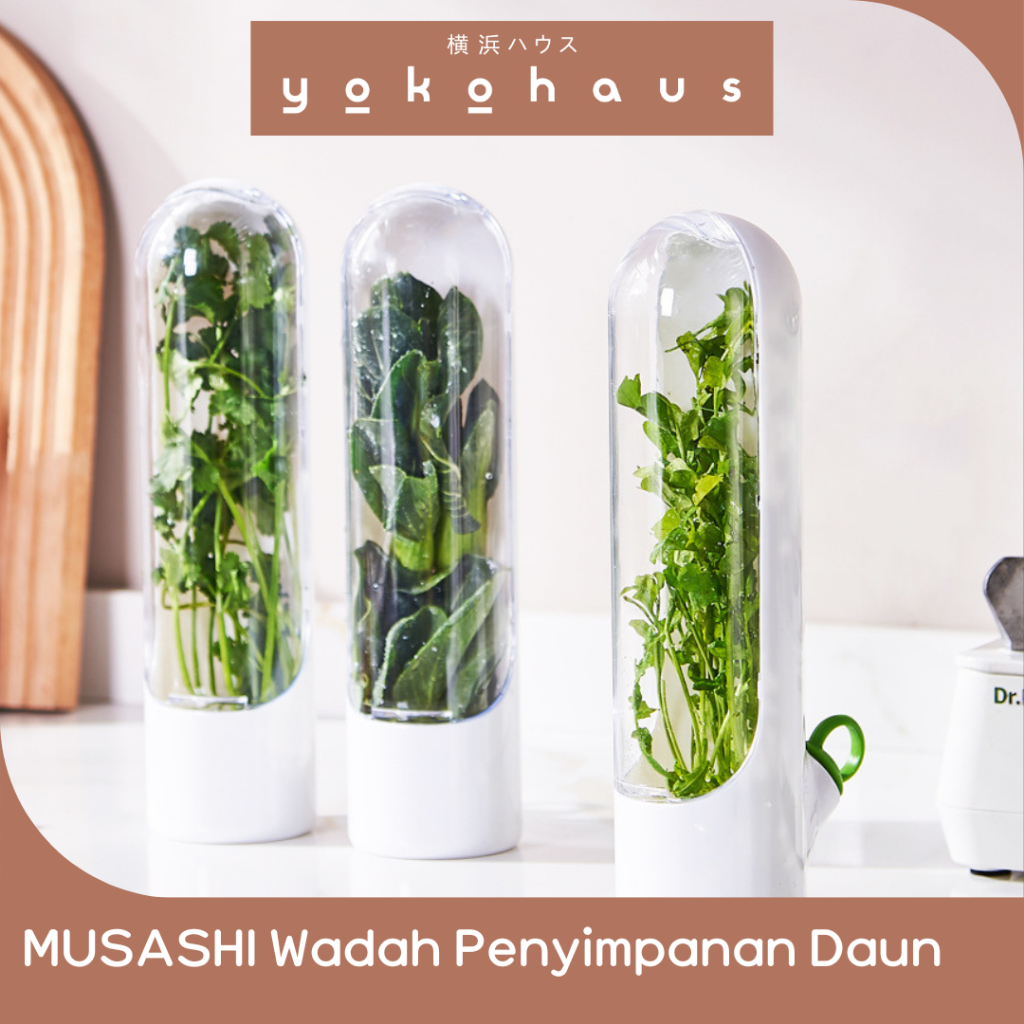 Yokohaus - MUSASHI Vegetable Refrigerator Box Food Grade Vegetables ...