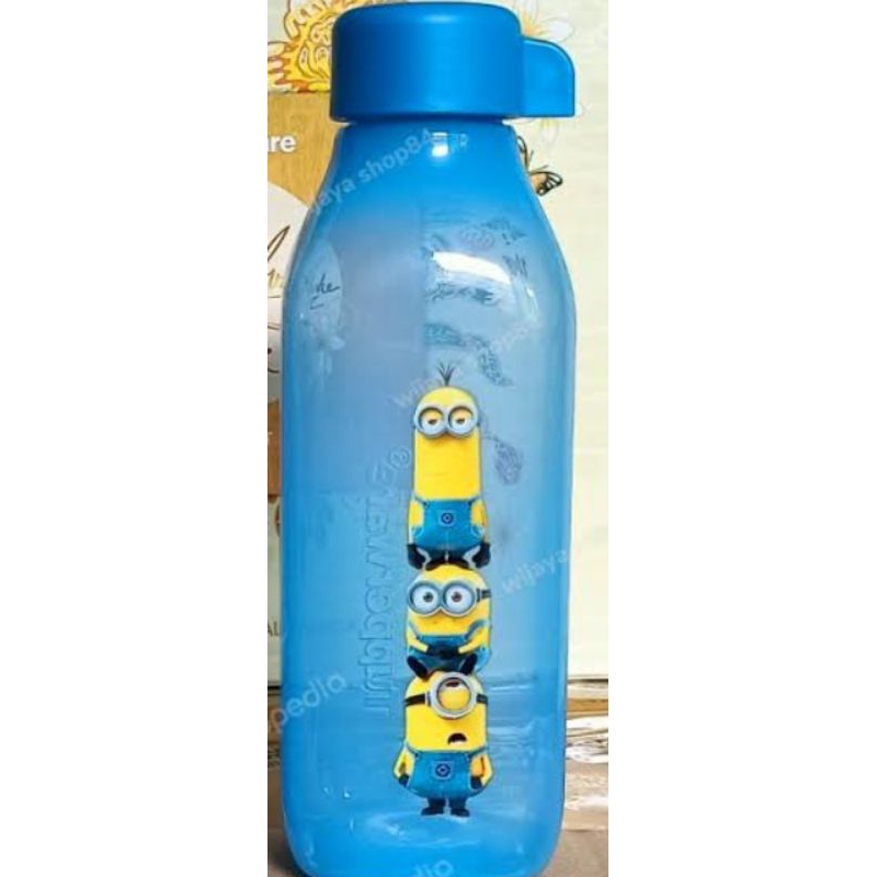 Eco bottle minion tupperware | Shopee Malaysia