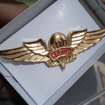 Brevet wing pin Badge Frozen tni ad | Shopee Malaysia