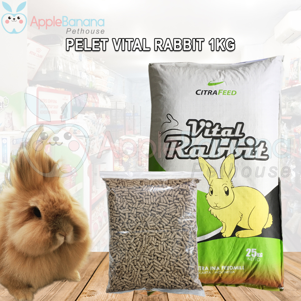 Vital rabbit 1 kg 1kg citra feed pellets citrafeed pellets | Shopee Malaysia