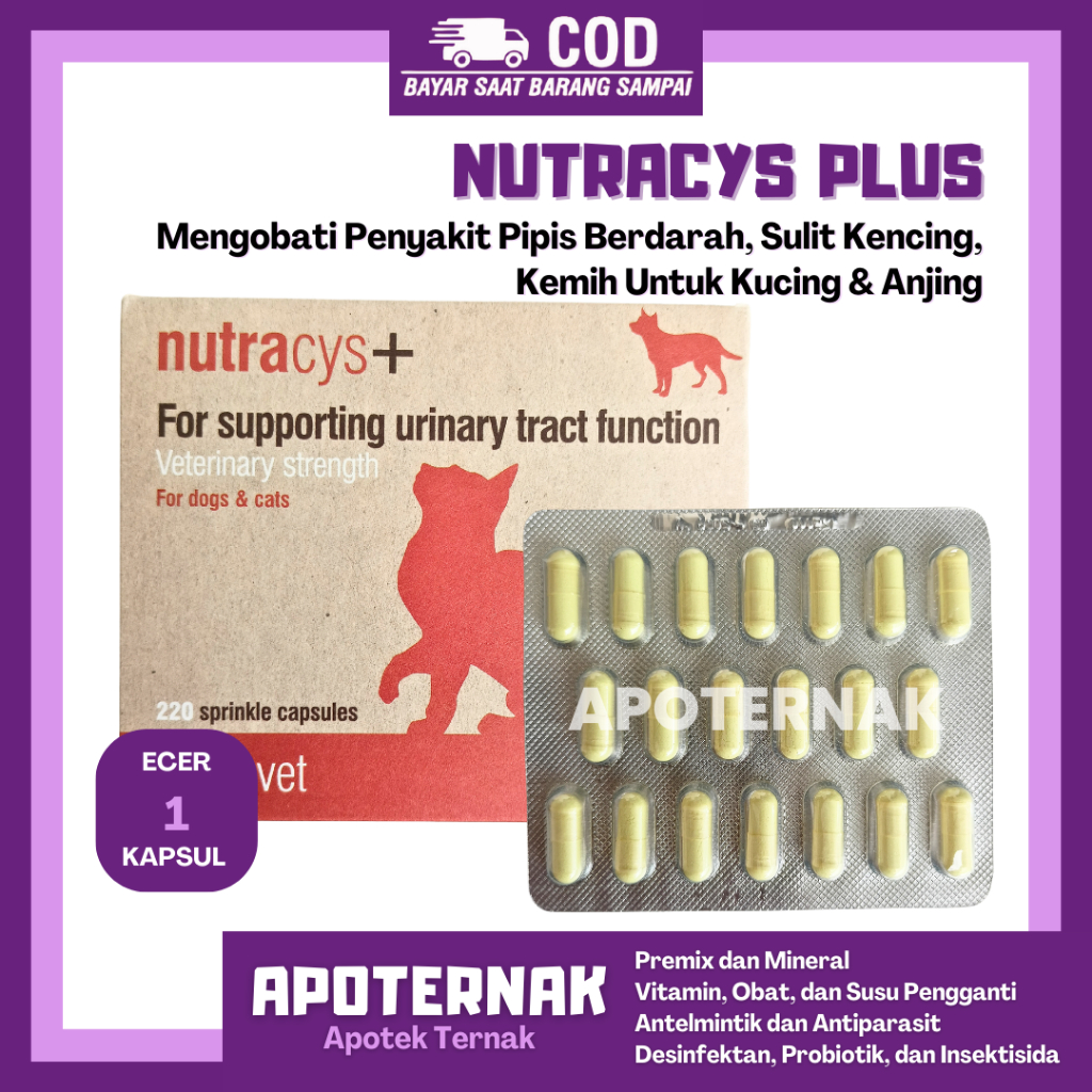 NUTRACYS PLUS 1 CAPSULE - Medicine for Bloody Urinary Pain Difficulty ...