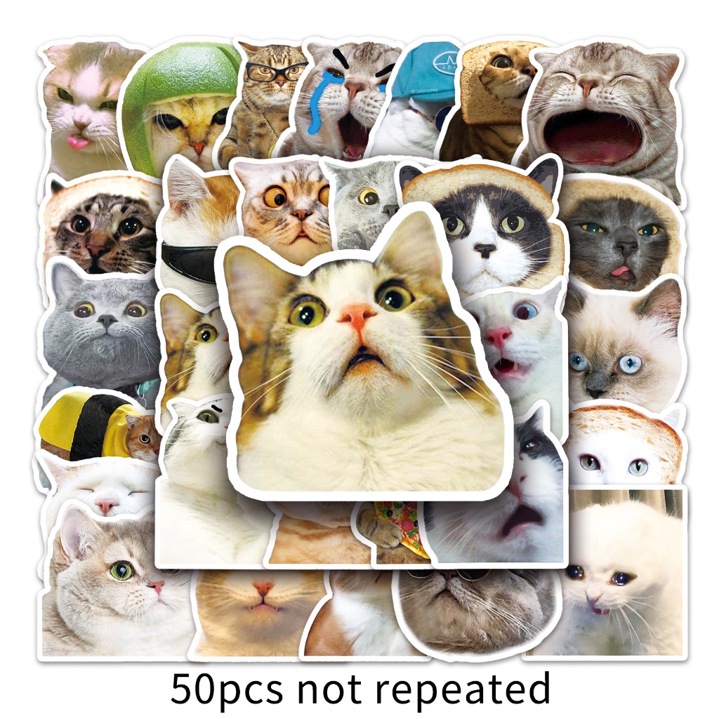 50pcs Cat Meme Sticker/Cat Meme Sticker/Waterproof Waterproof Vinyl/Cat ...