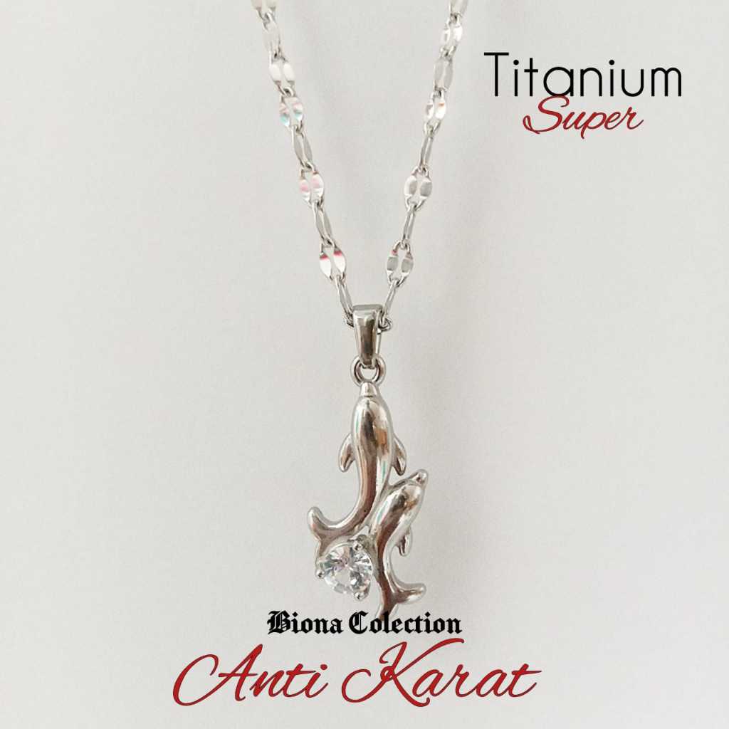 TOP jewelry !! Coffee Broken Titanium Silver Necklace plus Dolphin ...