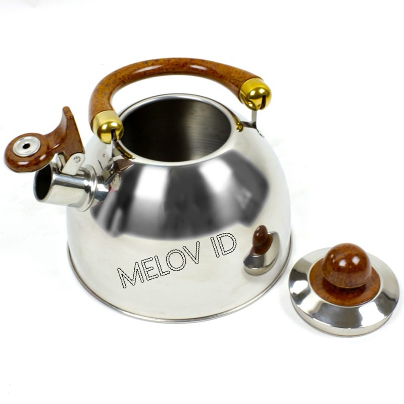 3 Liter Stainless Sound Teapot Water Heater Kettle | Shopee Malaysia