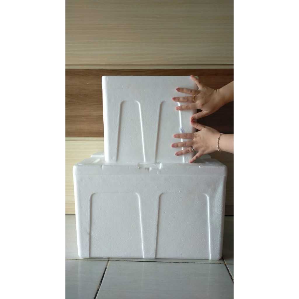 Styrofoam Cork Ice Box Styrofoam / Fish Box / Food Box / Foam Box 5L ...