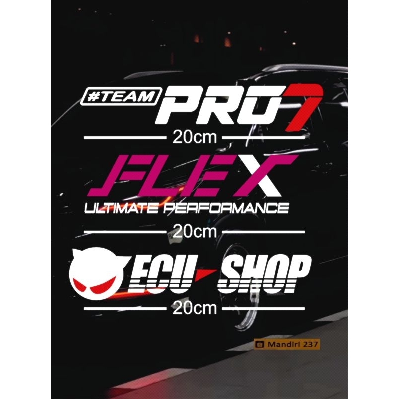 Team PRO7 FLEX ECU SHOP CAR STICKER | Shopee Malaysia
