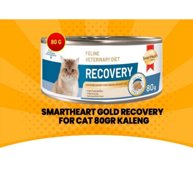 Wet WET WETFOOD RECOVERY VETERINARY DIET Animal CAT Small CAT 80G ...