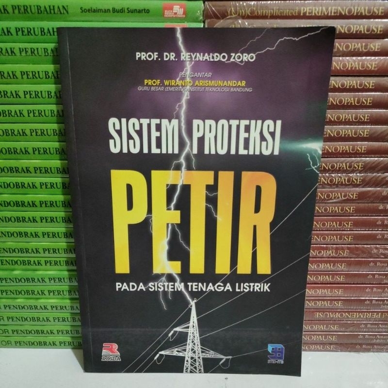 Original Book - Lightning Protection System Book In Electric Power ...