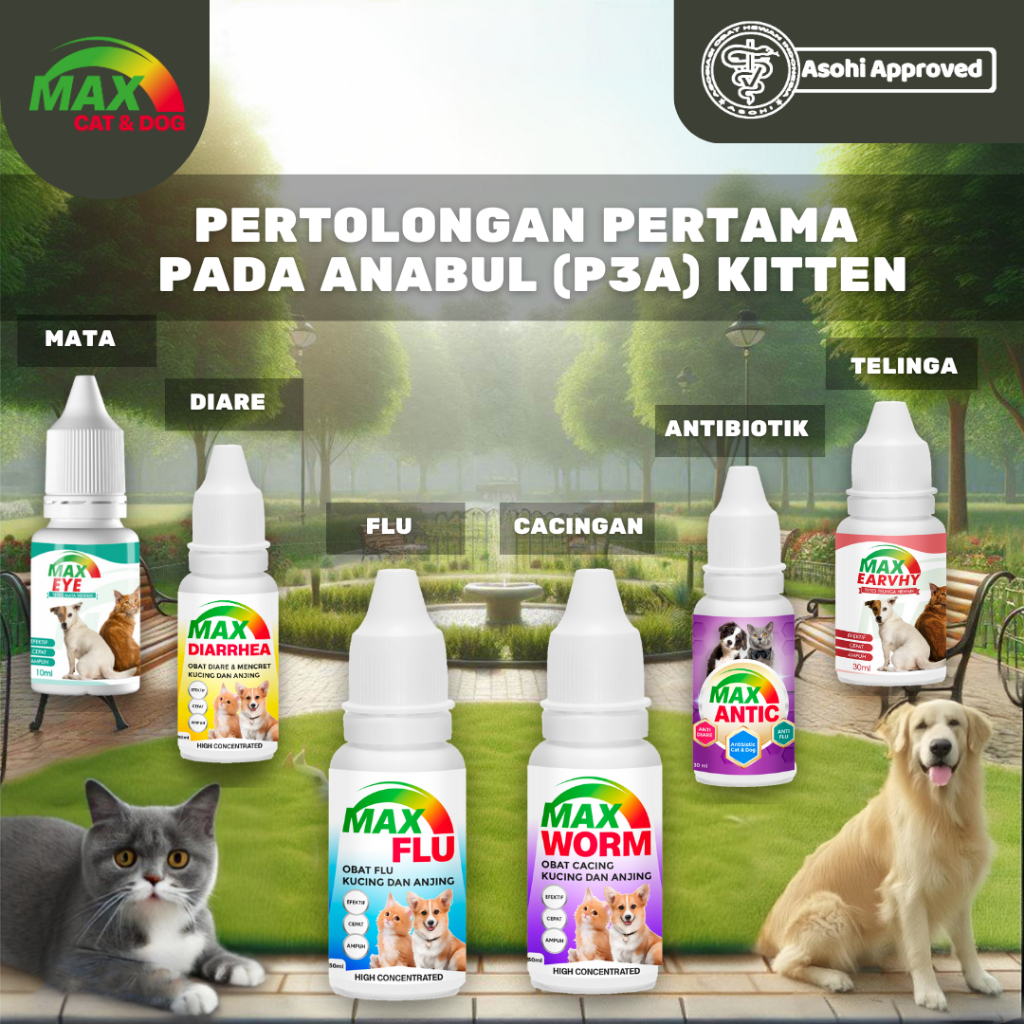 Kitten P3A Recommendations for A LOSS (First Aid for Anabul) | Shopee ...