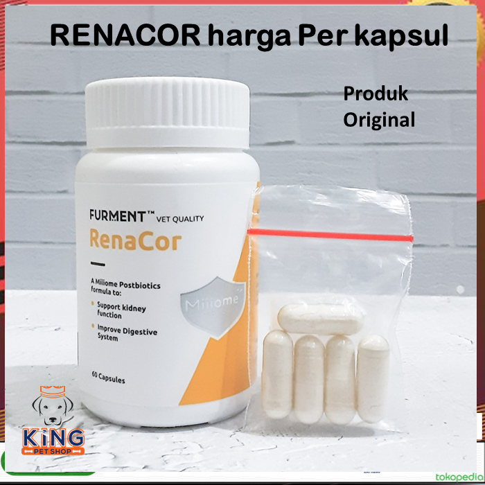 Renacor Replacement For Azodyl Powerful Kidney Supplement (Sell PER ...
