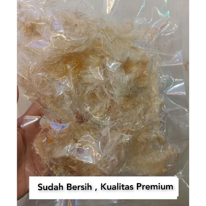 Hechi / Original West Kalimantan Fish Fins / Shark Fins / Hisit / Huchi ...