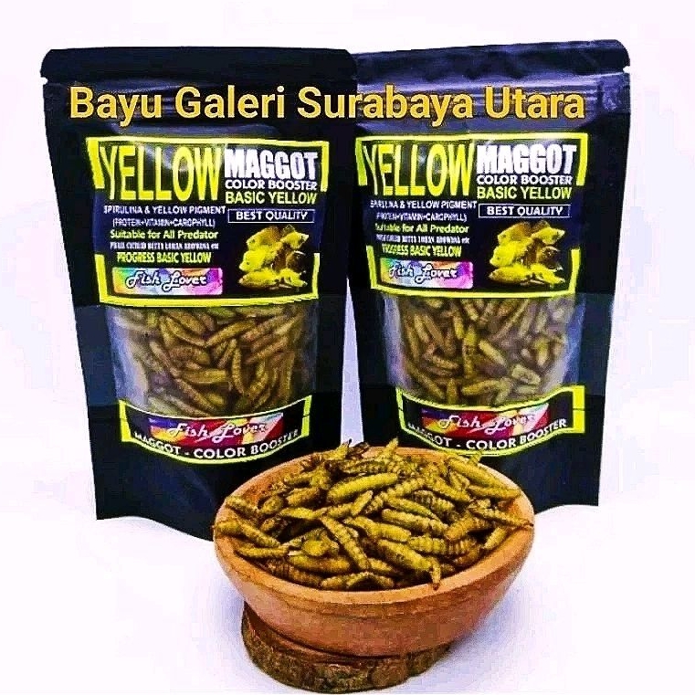 Premium Maggot Fish Feed | Shopee Malaysia