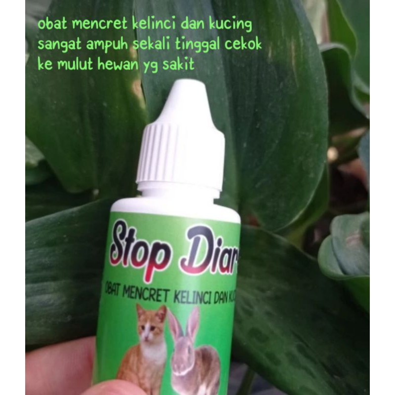 Stop Diarrhea Medicine Cat Rabbit Cat | Shopee Malaysia