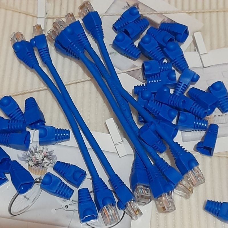 Blue GAIGABYTE PANDUIT CAT6 SERVER LAN CABLE | Shopee Malaysia