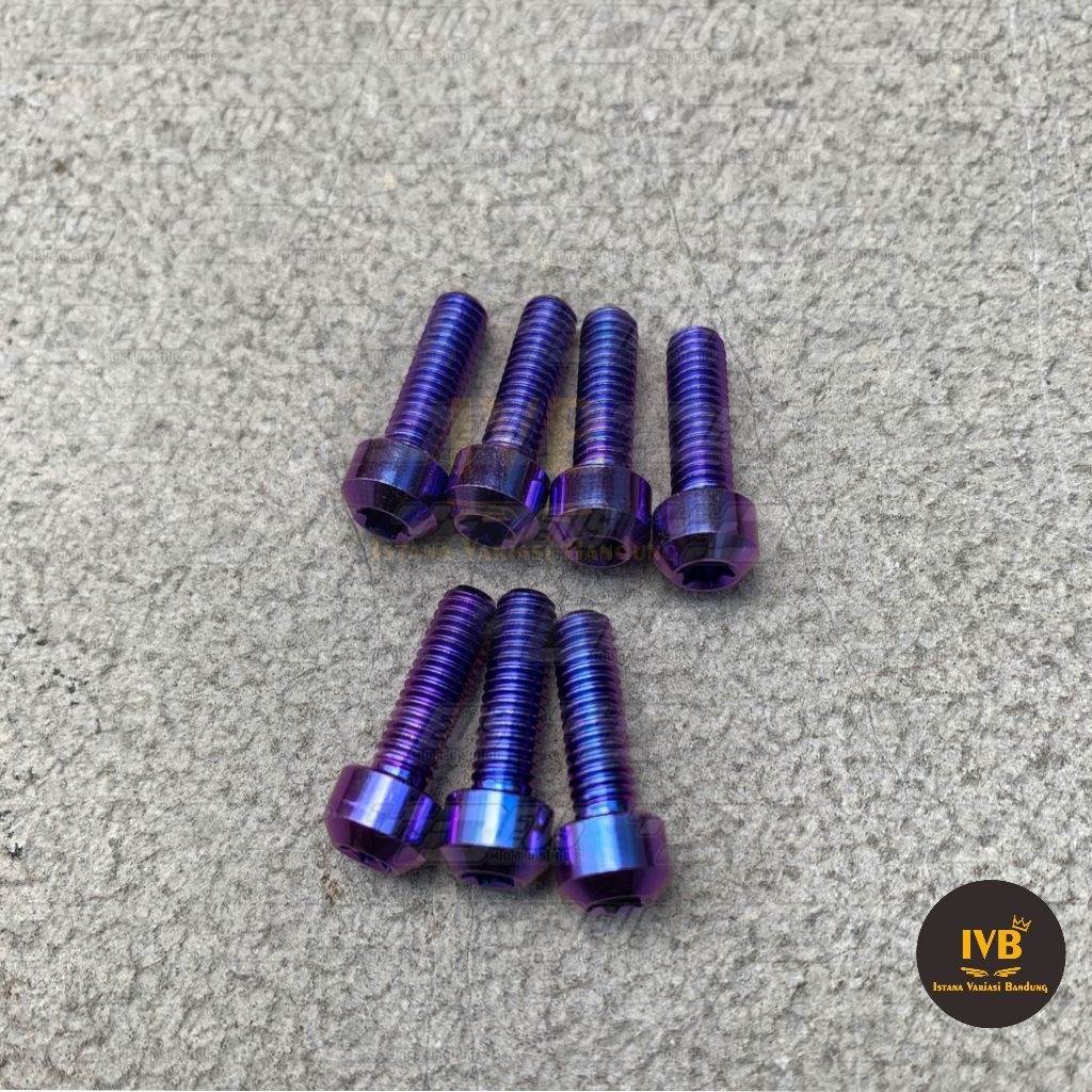 Titanium Bolt Set PNP Fuel Cap TYGA | Fuelcap Tank Cap M5 x 15S Small ...