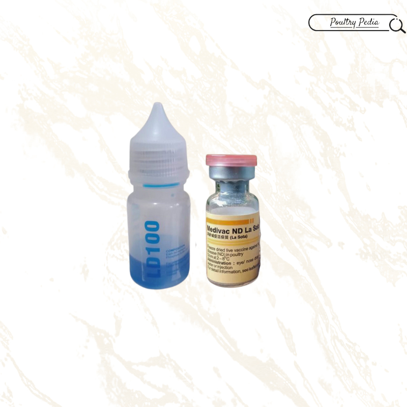 Nd lasota vaccine dose of 100 tetelo vaccine for poultry chickens ...
