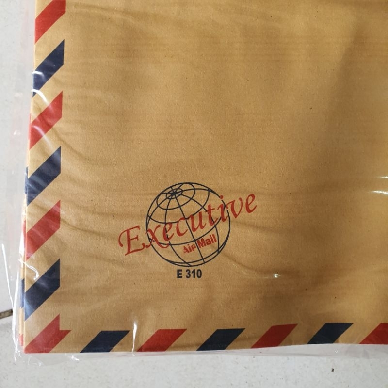 Am 310 Executive Brown Rope Envelope/Job Application Envelope/Folio ...