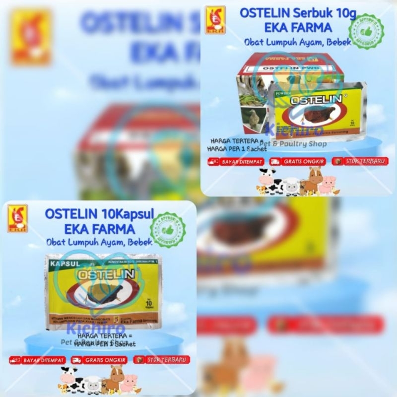 Ostelin Paralyzed Chicken Medicine contains 10 capsules / powder ...