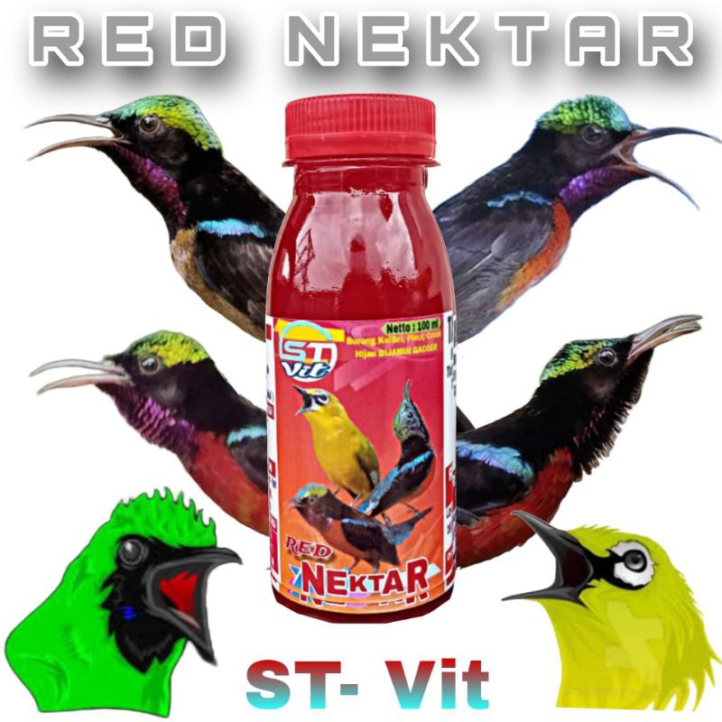 HIJAU RED nectar vitamin DRIVING hummingbirds pleci green cucak green ...