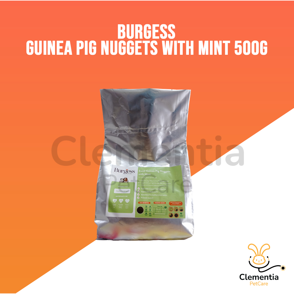 Burgess EXCEL Guinea Pig Nuggets with Mint 500g - Marmot Food | Shopee ...