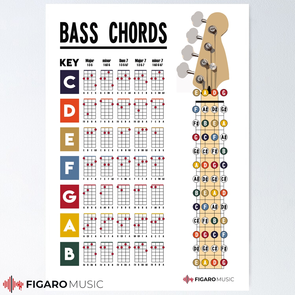 Bass Chord Poster Chart Educational Reference Guide for Beginners ...