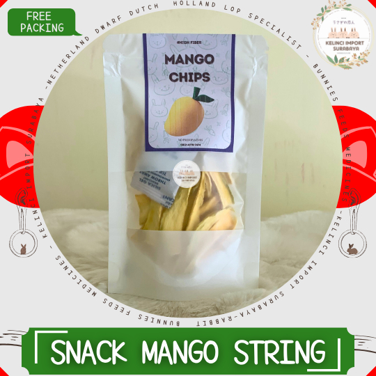 Snack Mango STRING Treats For Rabbits/Guinnea Pig/Hamster/Dog/Cat - Dry ...