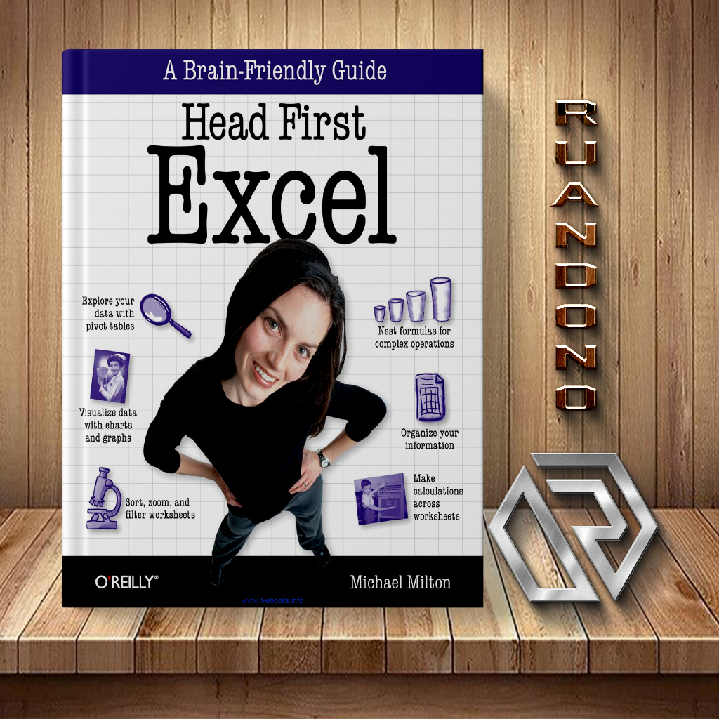 Head First Excel: A learner's guide to spreadsheets (Head First Guides ...