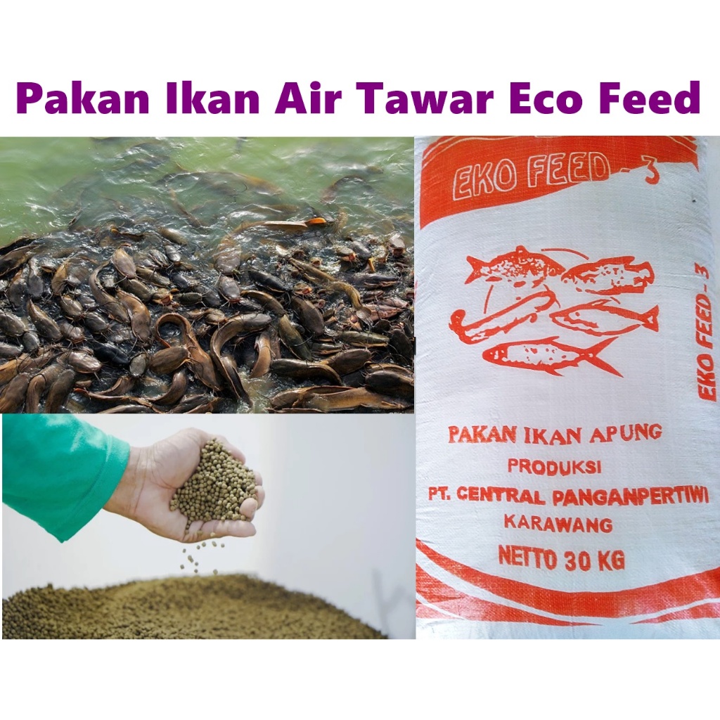 Aquabrizz Eko Feed 1kg Freshwater Fish Pellets Floating Feed Catfish ...