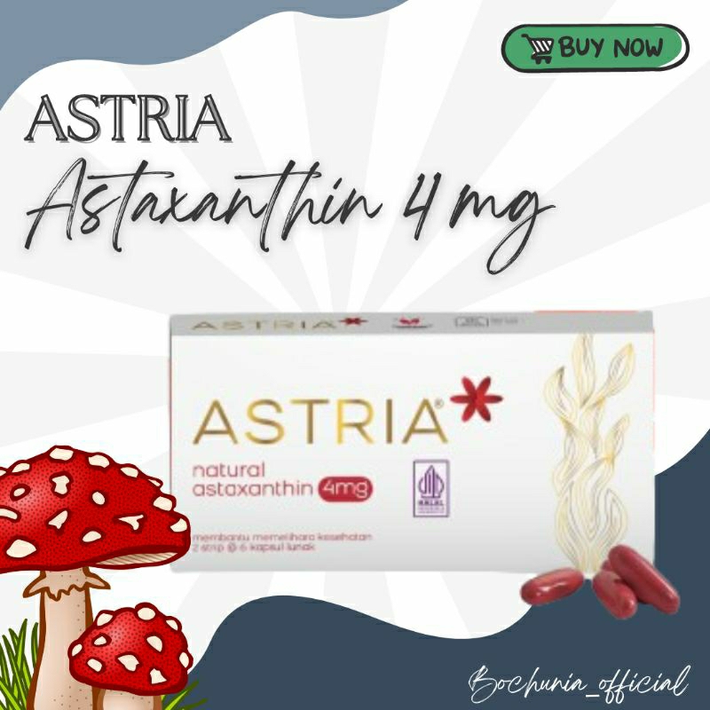 Astria NATURAL Antioxidant Supplement ASTAXANTHIN 4mg - 1 Pack x 12 ...