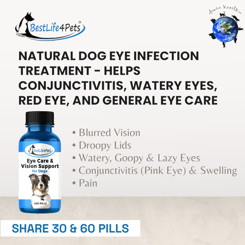 MATA Bestlife For Pets Natural Dog Eye Infections Treatment - Eye ...