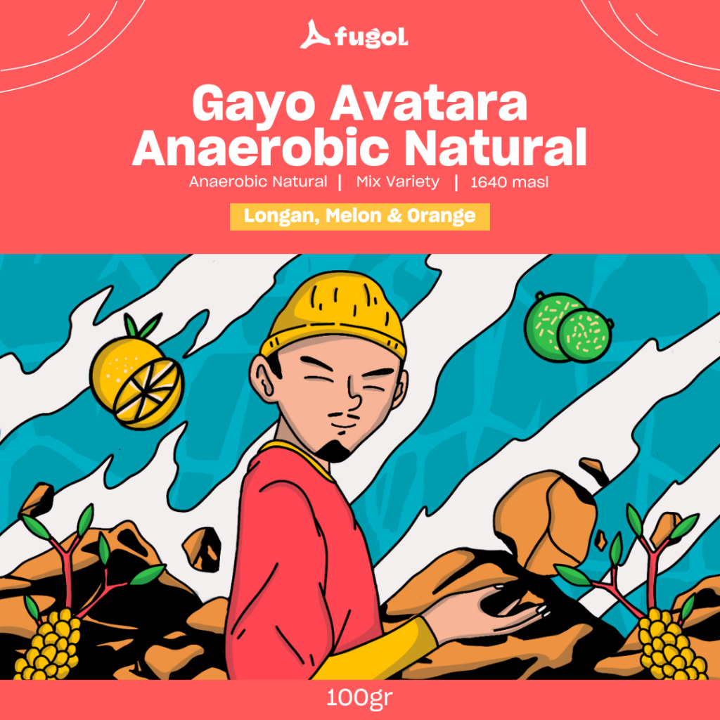 Gayo AVARA ANAEROBIC NATURAL Arabica Coffee (100 gr) Single Origin ...