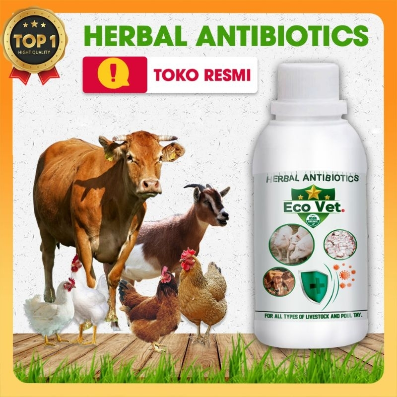 Eco Vet Herbal Antibiotics 250gram - Ecovet By Garden - Ecovet Original ...