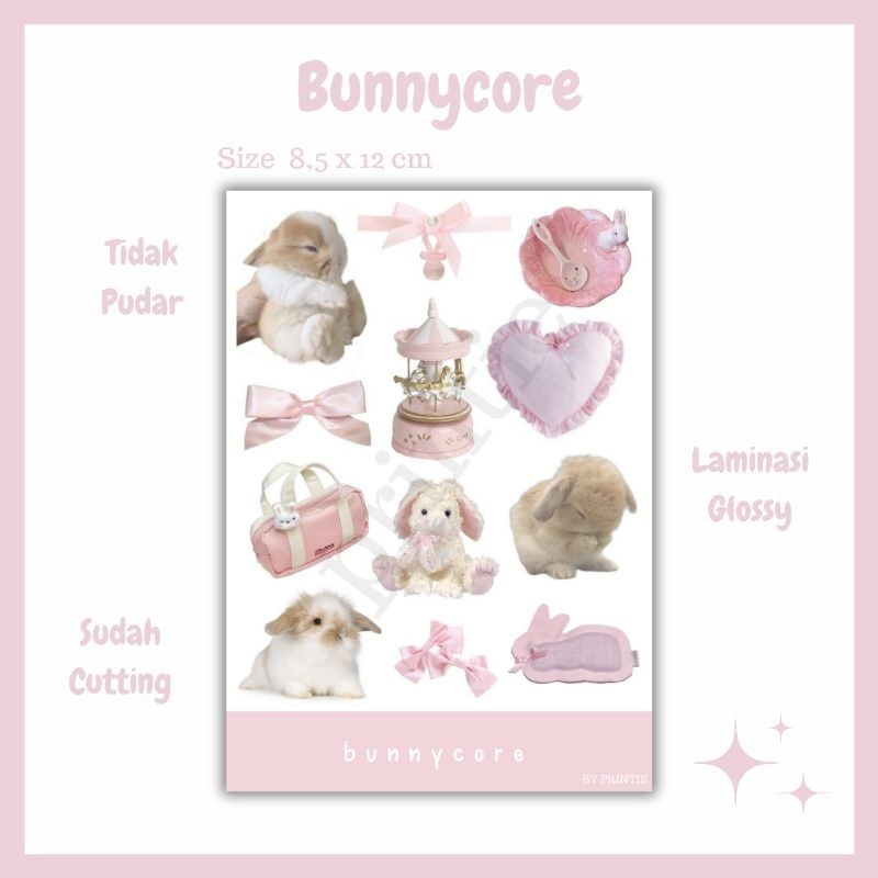 [1 Piece] kisscut cute aesthetic gemoy stickers with bunnycore, bunny ...