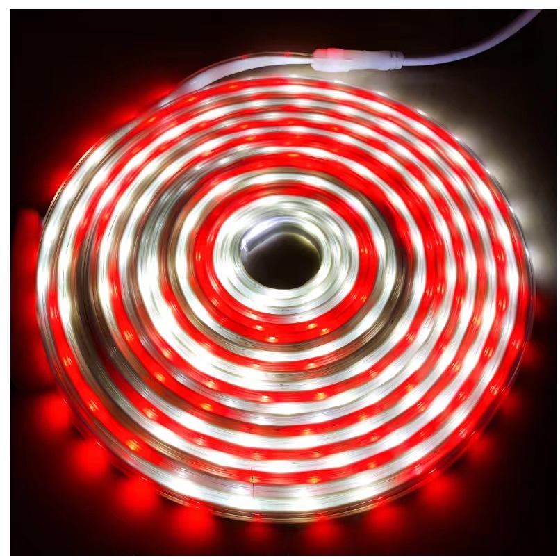 MERAH PUTIH Led Strip Light Hose red and white package 3528 2835 220V ...