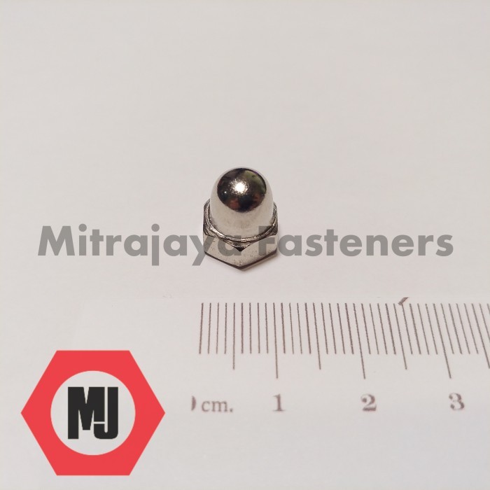 M6 Cap Nut Nickel Cap Nut | Shopee Malaysia