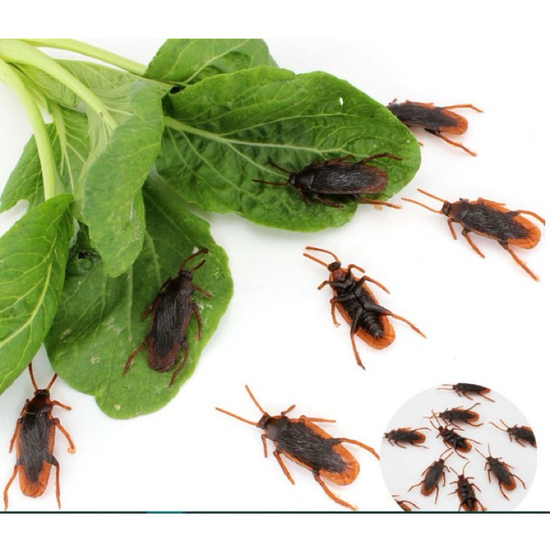 Fake Cockroaches Plastic Cockroaches Mischievous Toys Similar to the ...