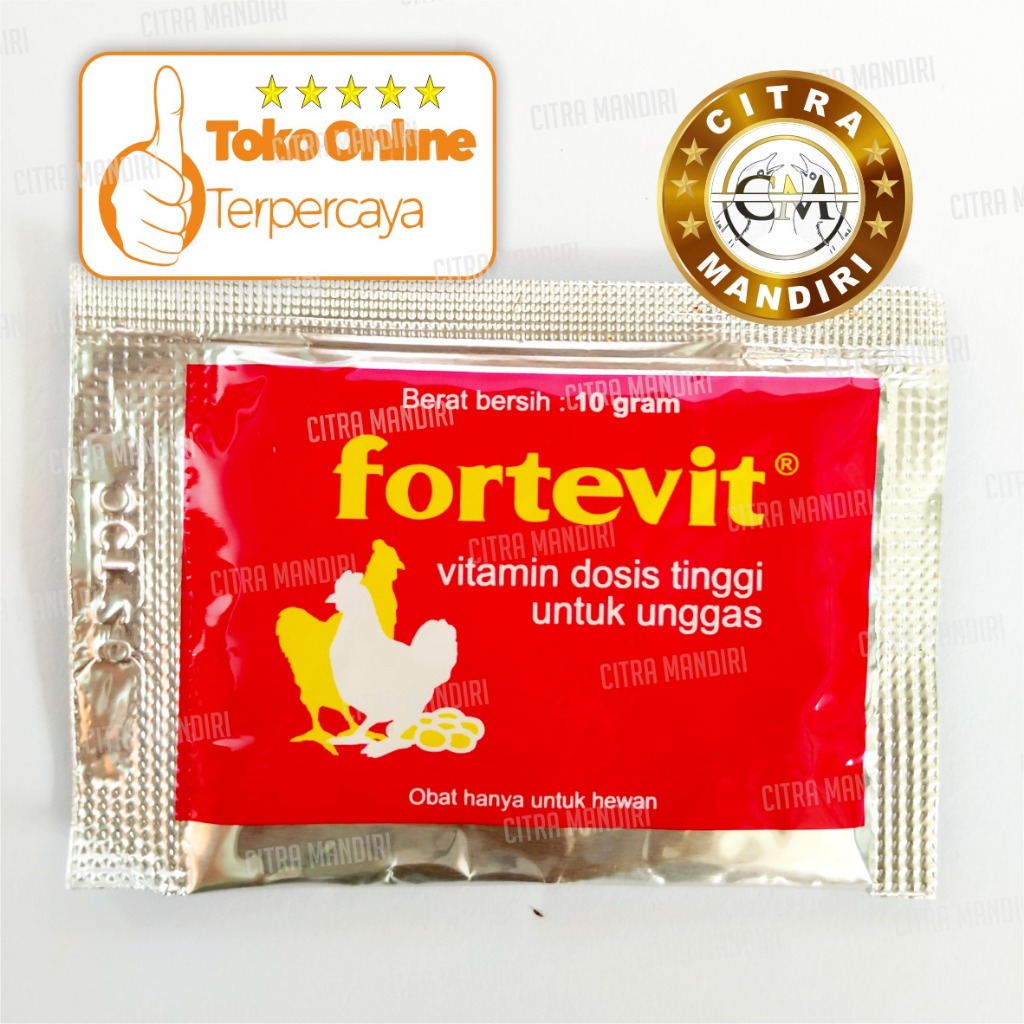 FORTEVIT FORTE VIT VORTEFIT FORTEFIT 1 SACHET 10 GRAM High DOSAGE ...