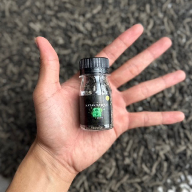 Rice Field Frog Pellets Full Frog 100% (by Elfaad Channa Legion ...