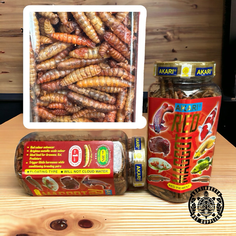 Akari Maggot Red / Pro packaging 40 grams and 130 gr Dried Maggot BSF ...