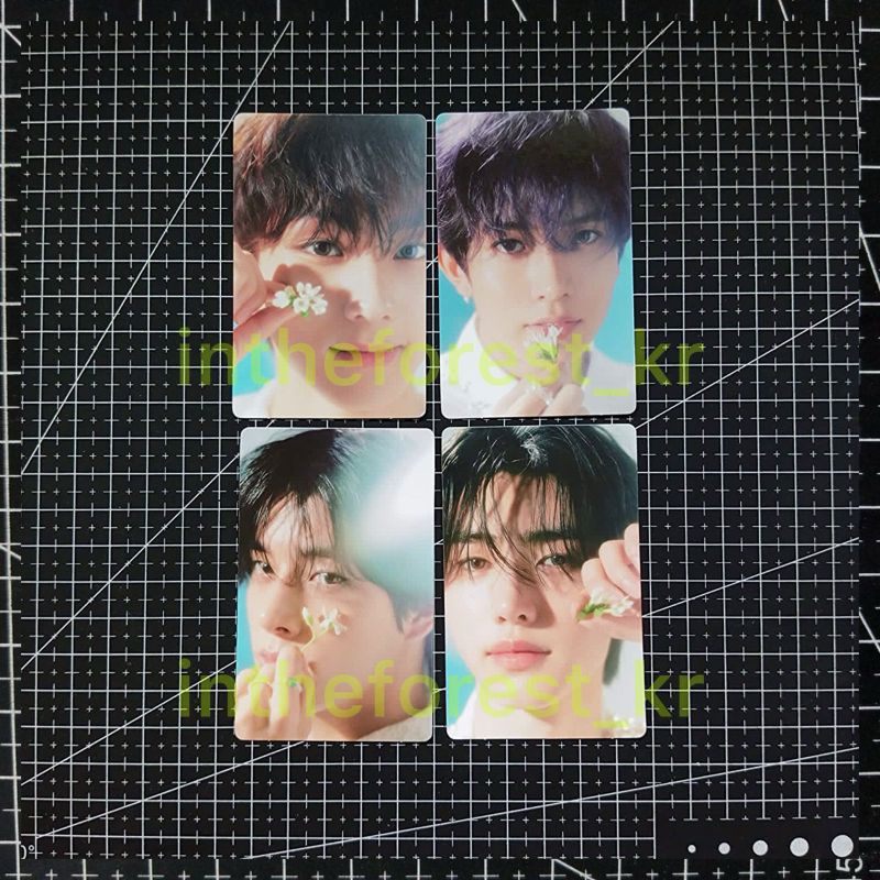 Pc/photocard ENHYPEN ORANGE BLOOD POB BENEFIT WEVERSE Regular (JUNGWON HEESEUNG JAY JAKE ...