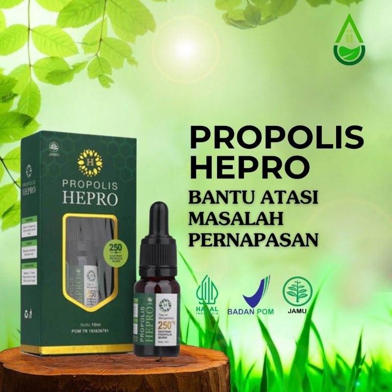 Propolis HEPRO TRIGONA ORIGINAL INDONESIA ORIGINAL 100% OFFICIAL ...