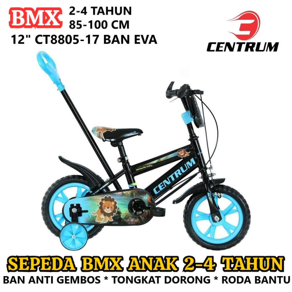 Centrum CT8805-17 CT8805-27 BMX 12" EVA Tires 2-4 Years Push Stick Auxiliary Wheel Kids Bike ...