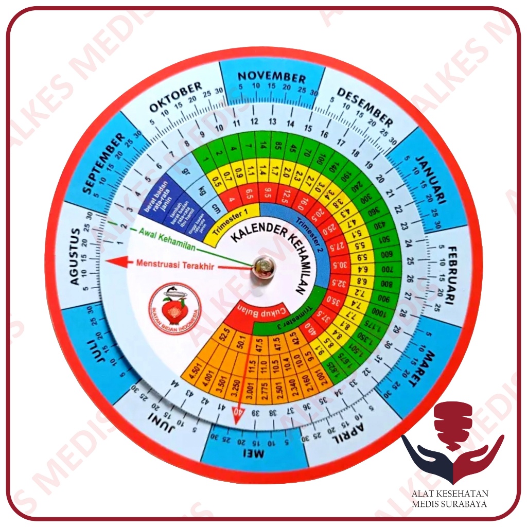 Linset Pregnancy Calendar Swivel Wheel Calendar Check Counting Pregnant ...