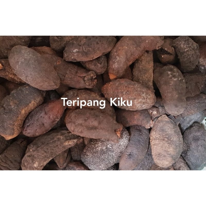 Haisim Kiku/Haisom/Dried Sea Cucumber/Sea Cucumber/Hoisom/Jai Kok Sim ...