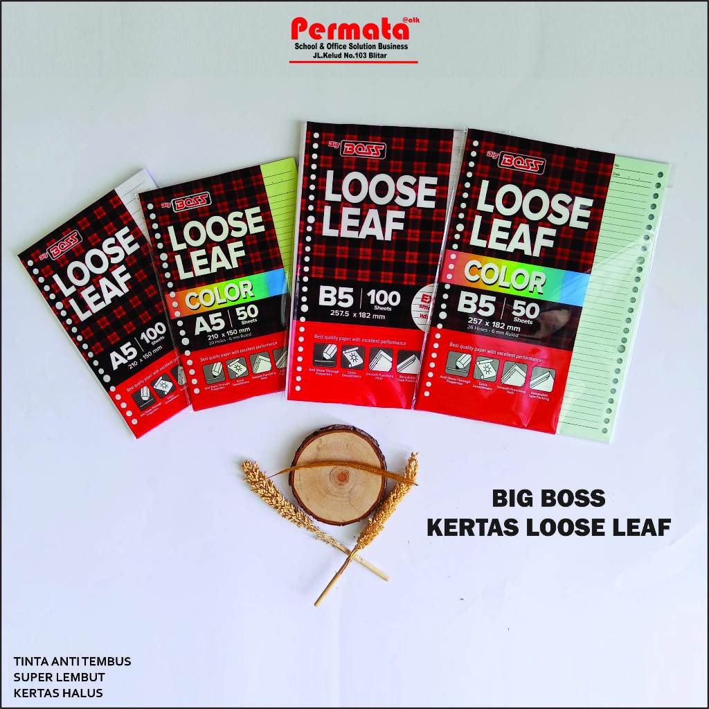LOOSE LEAF BIG BOSS A5/B5 PLAIN, GREEN AND RAINBOW COLOR CONTENTS 100 ...